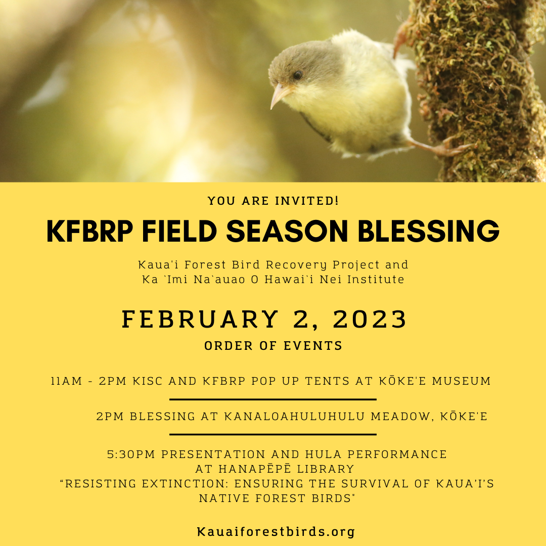 KFBRP Annual Field Season Blessing – Kauai Forest Bird Recovery Project